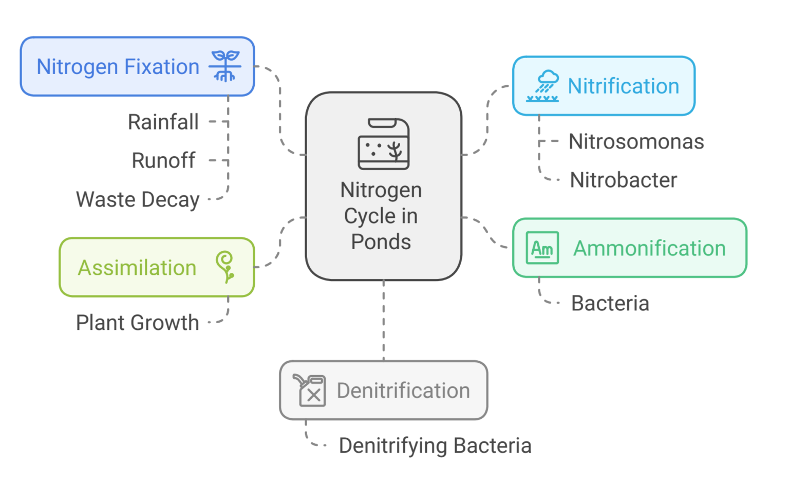 Nitrogen in Pond Ecosystems | Unlock a Healthier Pond